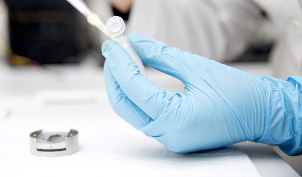 Stem cell-based embryo models – Nuffield Council on Bioethics