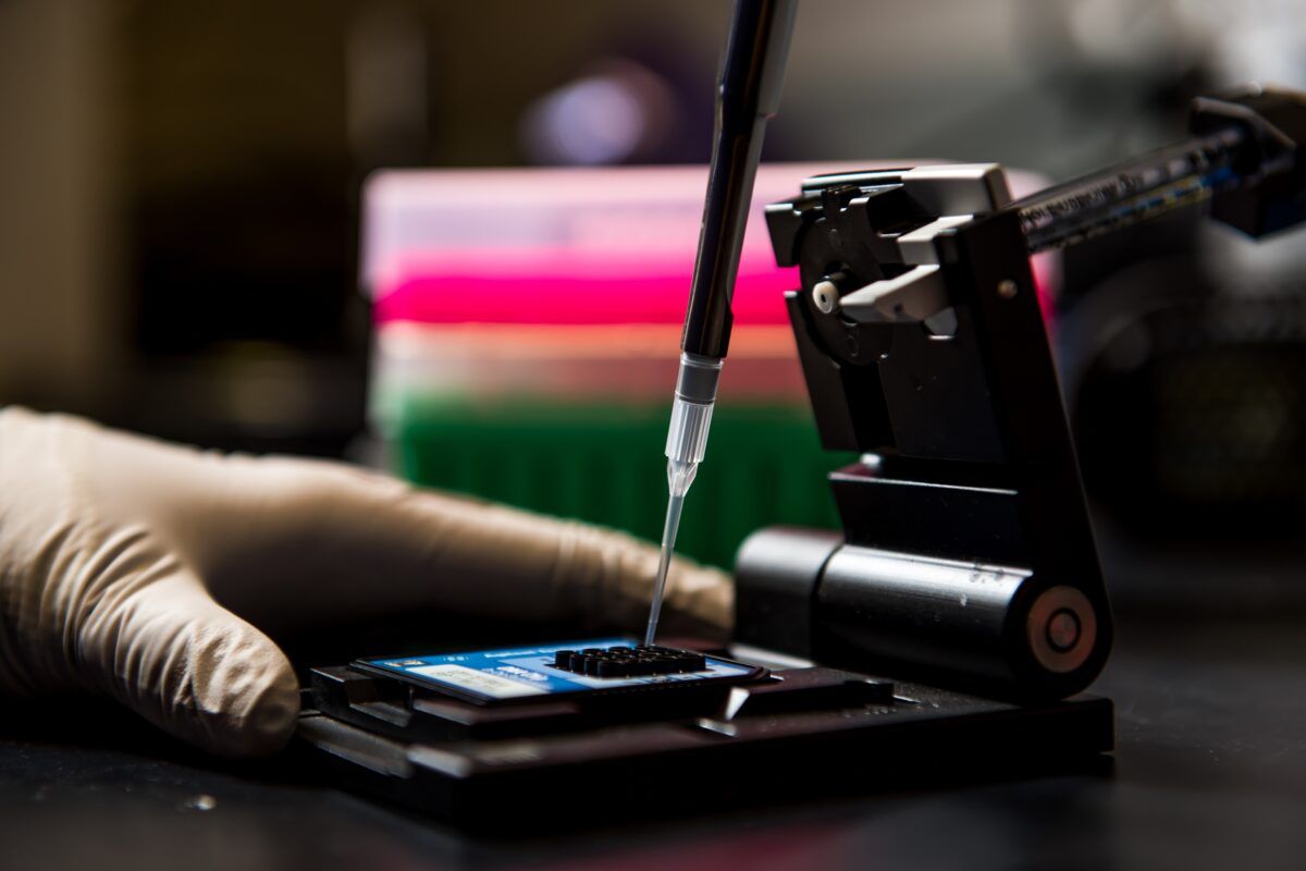 Genome editing: an ethical review – Nuffield Council on Bioethics