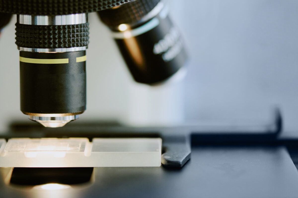 The 14-day rule for embryo research: Ethical considerations – Nuffield ...