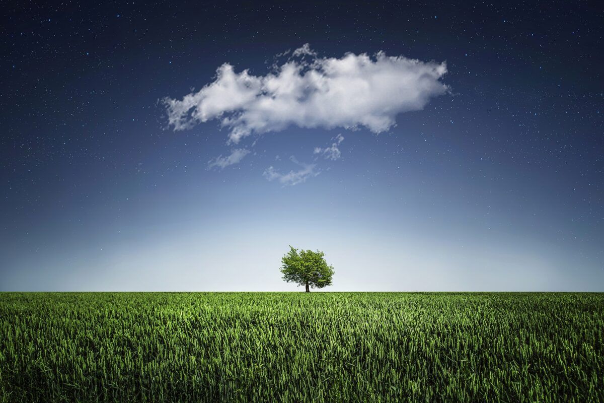 An update to our ‘ethical lens for horizon scanning and foresight ... An update to our ‘ethical lens for horizon scanning and foresight ...