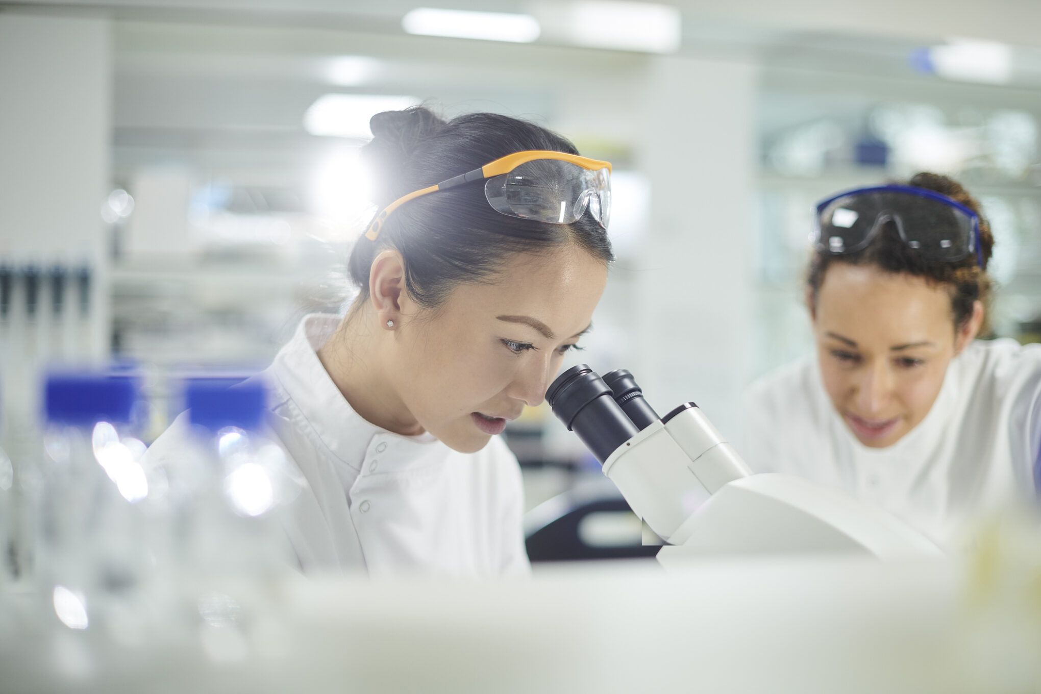 Reviewing the 14-day rule for human embryo research – Nuffield Council ...